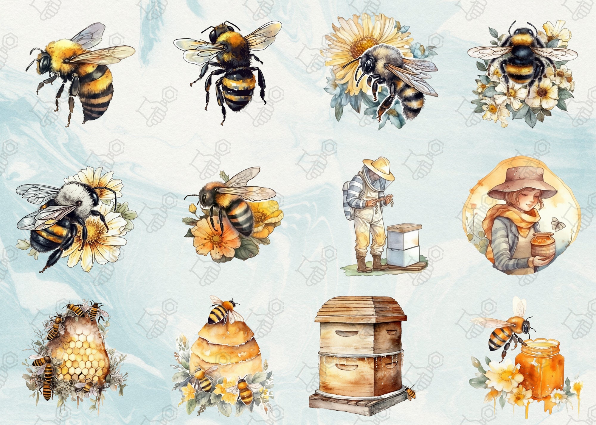 Watercolor Honey Bee Transparent PNG Clipart Bundle Spring - Etsy
