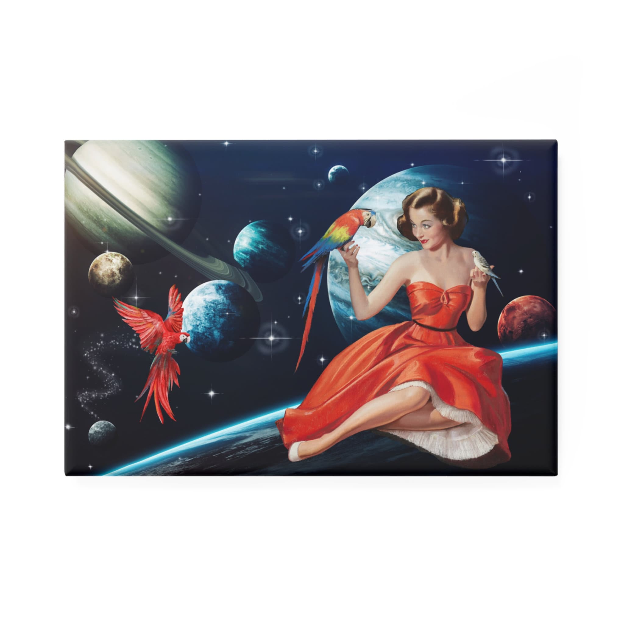 Cosmos Birds Magnet, 90s Celestial, Space Age, College Apartment Decor ...