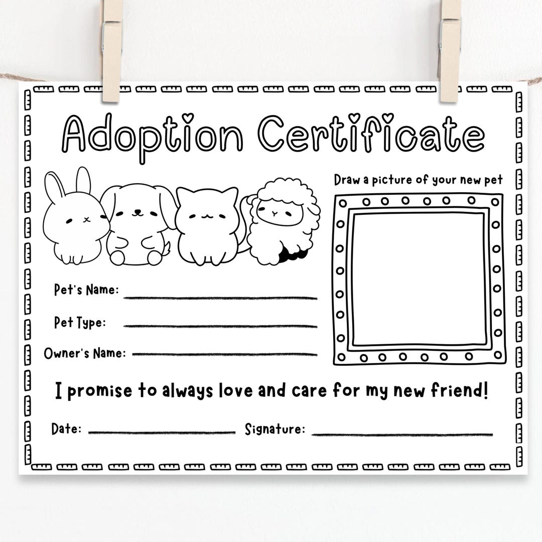 Plushie Adoption Certificate: Stuffed Animal Party Activity (PDF) - Etsy