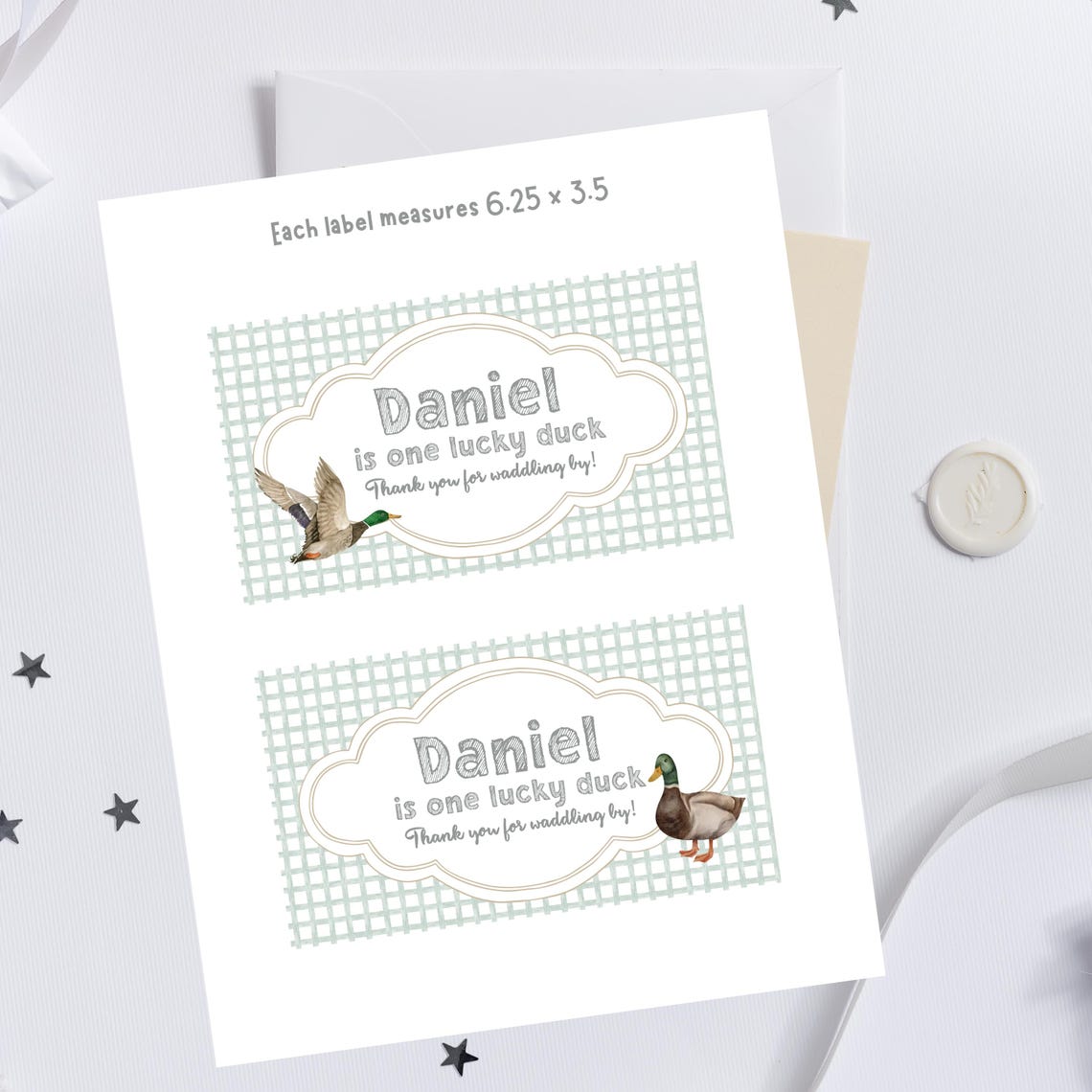 Editable Mallard Duck Gable Box Label: First Birthday Party (digital ...