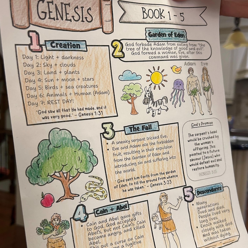 GENESIS - Bible Made Simple - Bible Study Guide for Kids With Coloring ...