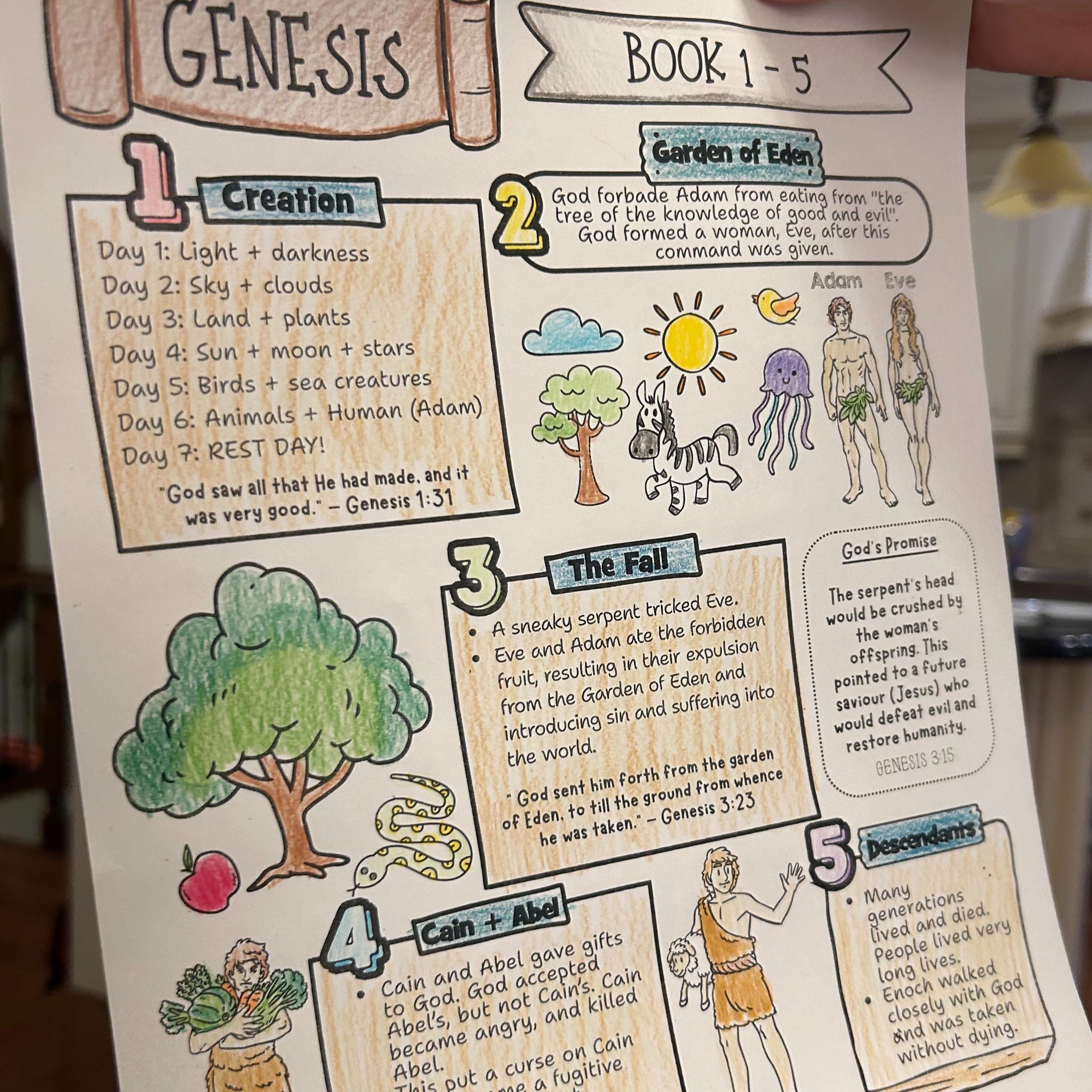 GENESIS - Bible Made Simple - Bible Study Guide for Kids With Coloring ...