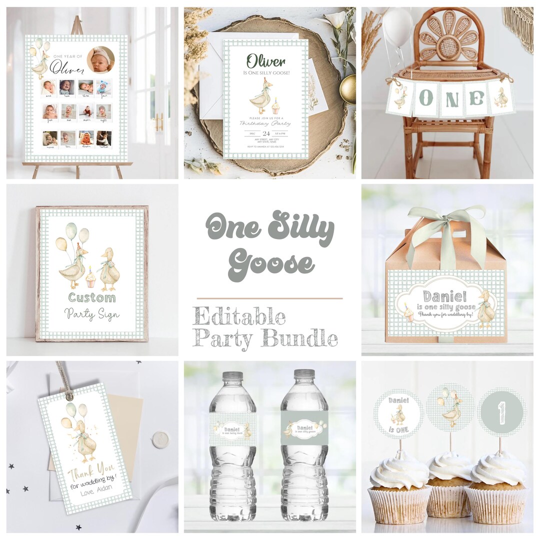 One Silly Goose Birthday Party Bundle: Editable Decor (digital Download ...