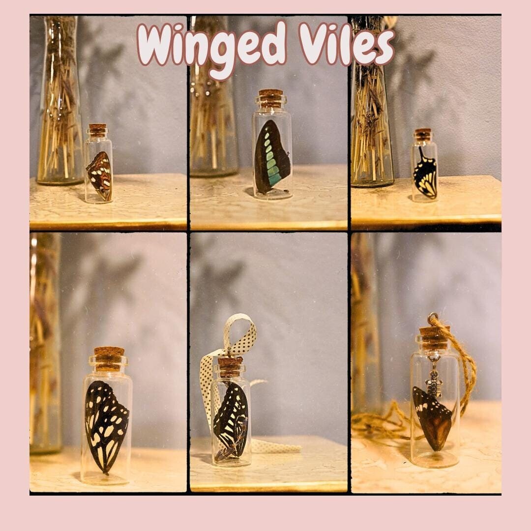 Butterfly Wings in a Spirit Vile - Etsy