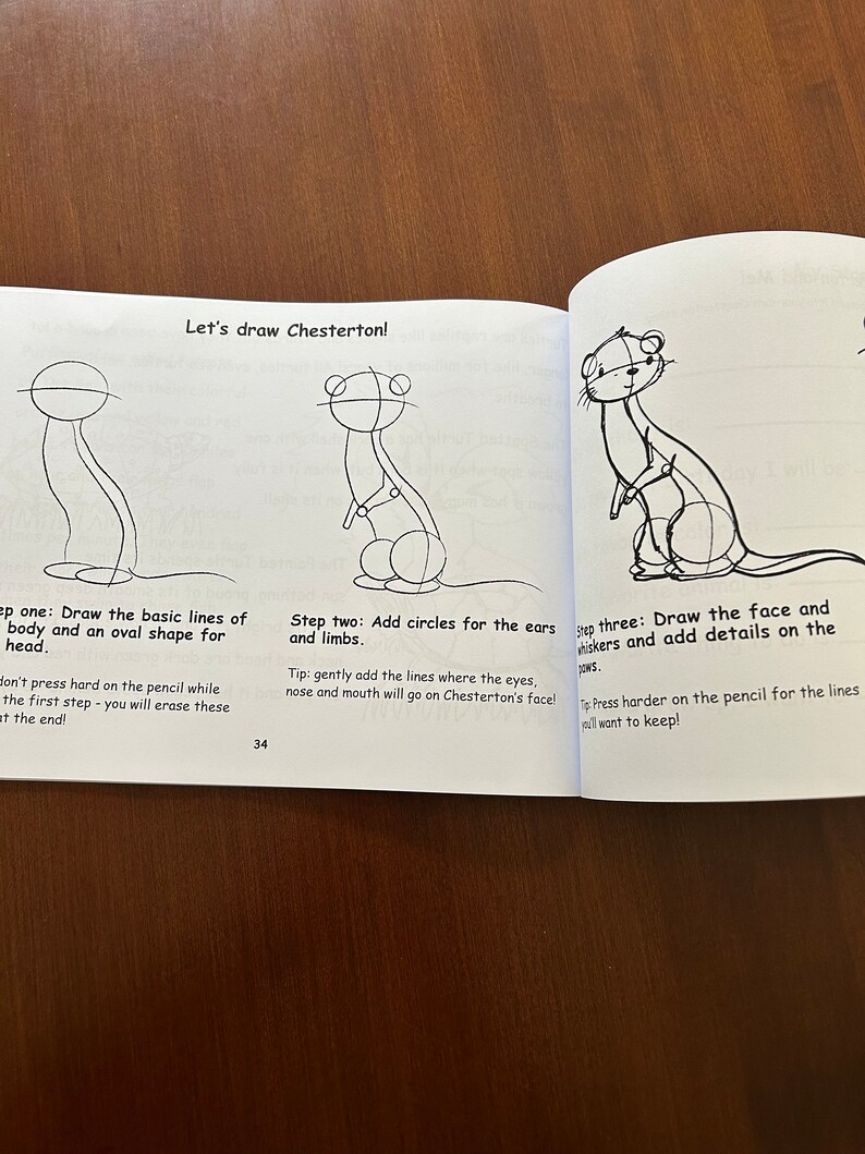 Chesterton Coloring and Activity Book, Paperback Gift for All Ages ...