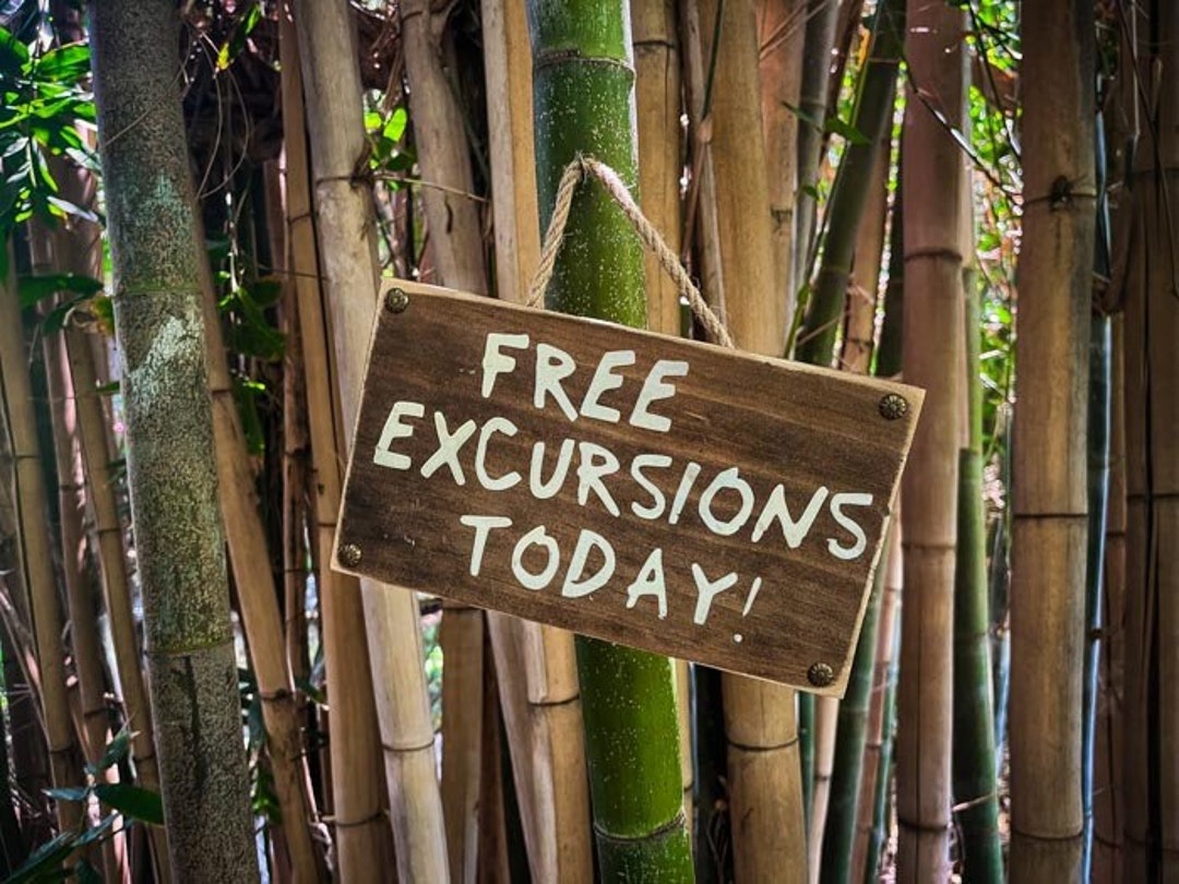 Free Excursions Today, Jungle Cruise Inspired, Solid Wood and Paint ...