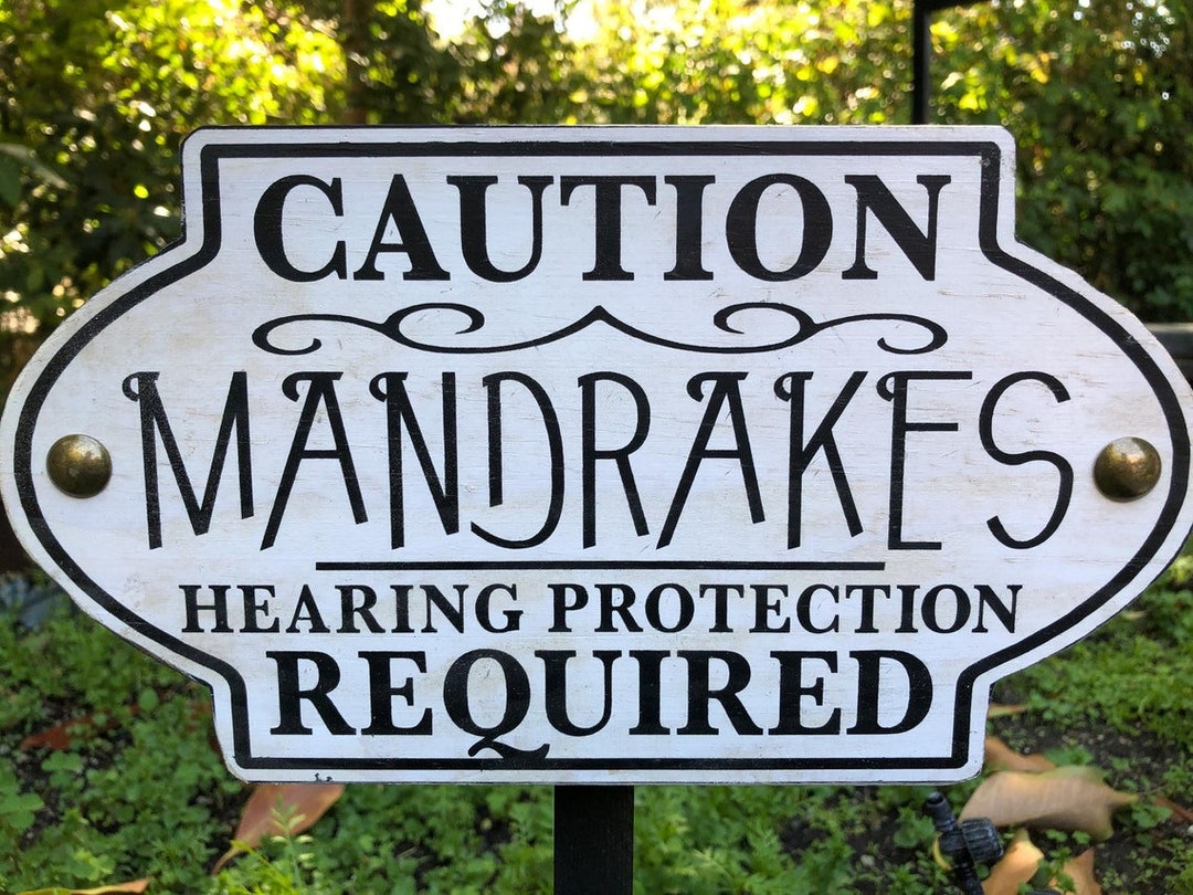 Caution Mandrakes, Solid Wood and Paint Rustic Sign, Hand Crafted, High ...