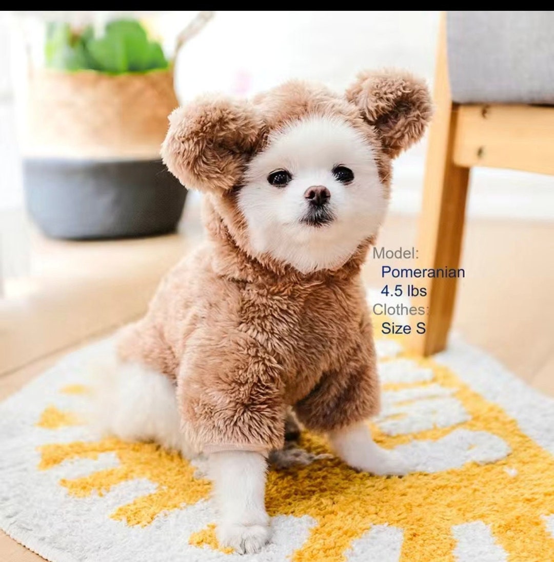 Cute Bear Comfy Jacket for Dog or Cat - Etsy