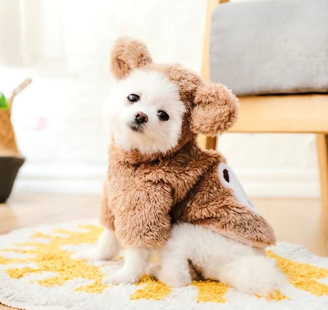 Cute Bear Comfy Jacket for Dog or Cat - Etsy