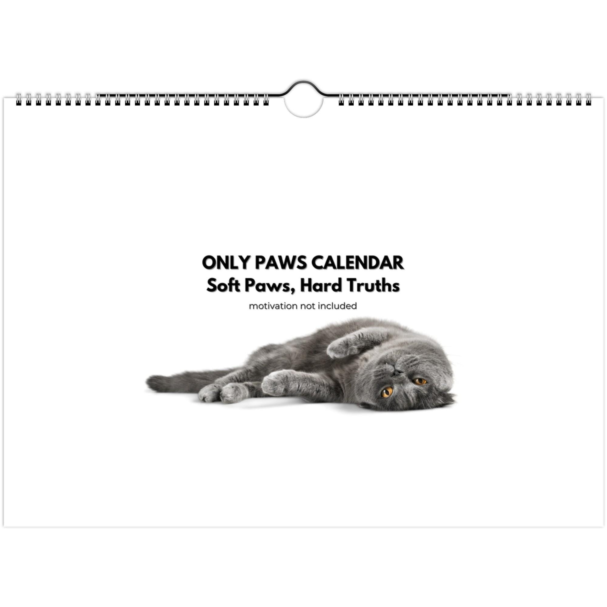 Funny Cat Wall Calendar: Sarcastic Quotes for Office Humor 2026 - Etsy