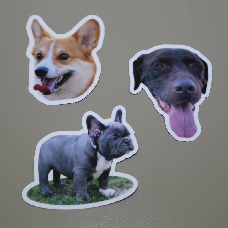Custom Pet Stickers - Etsy
