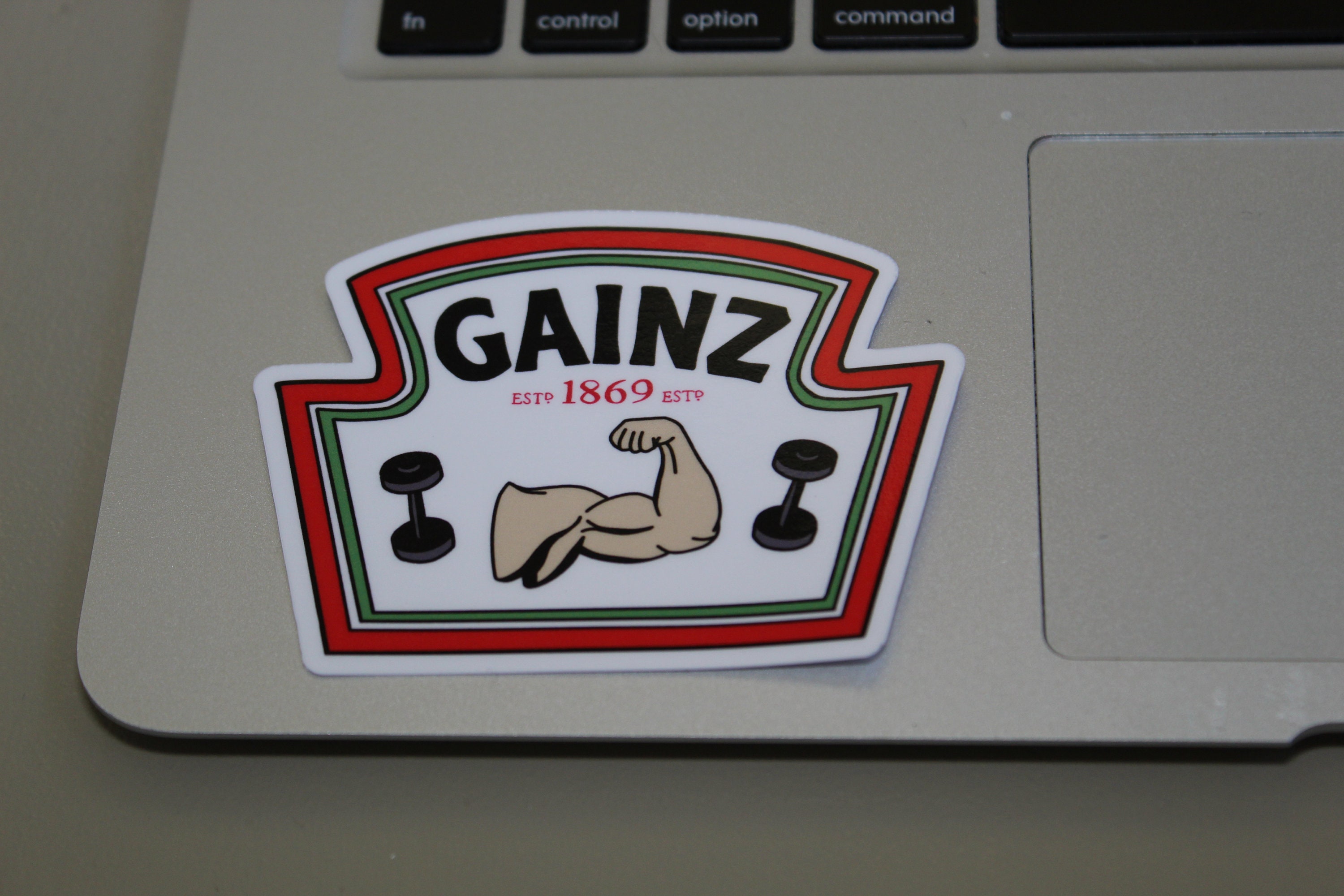 Gainz Gym Sticker-funny Gym Sticker, PREMIUM Quality, Laminated, Glossy ...