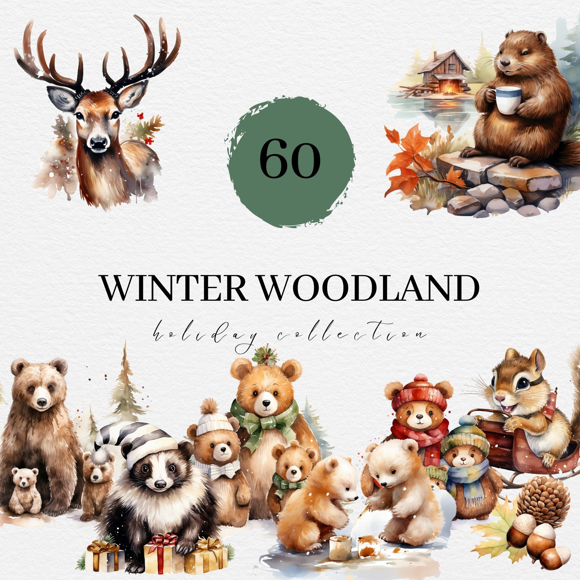 60 Winter Woodland Clipart Set Transparent Background, Digital PNG ...