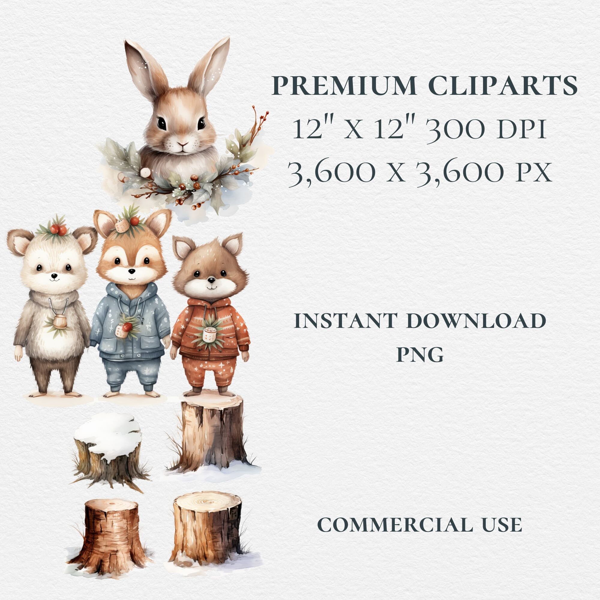 60 Winter Woodland Clipart Set Transparent Background, Digital PNG ...