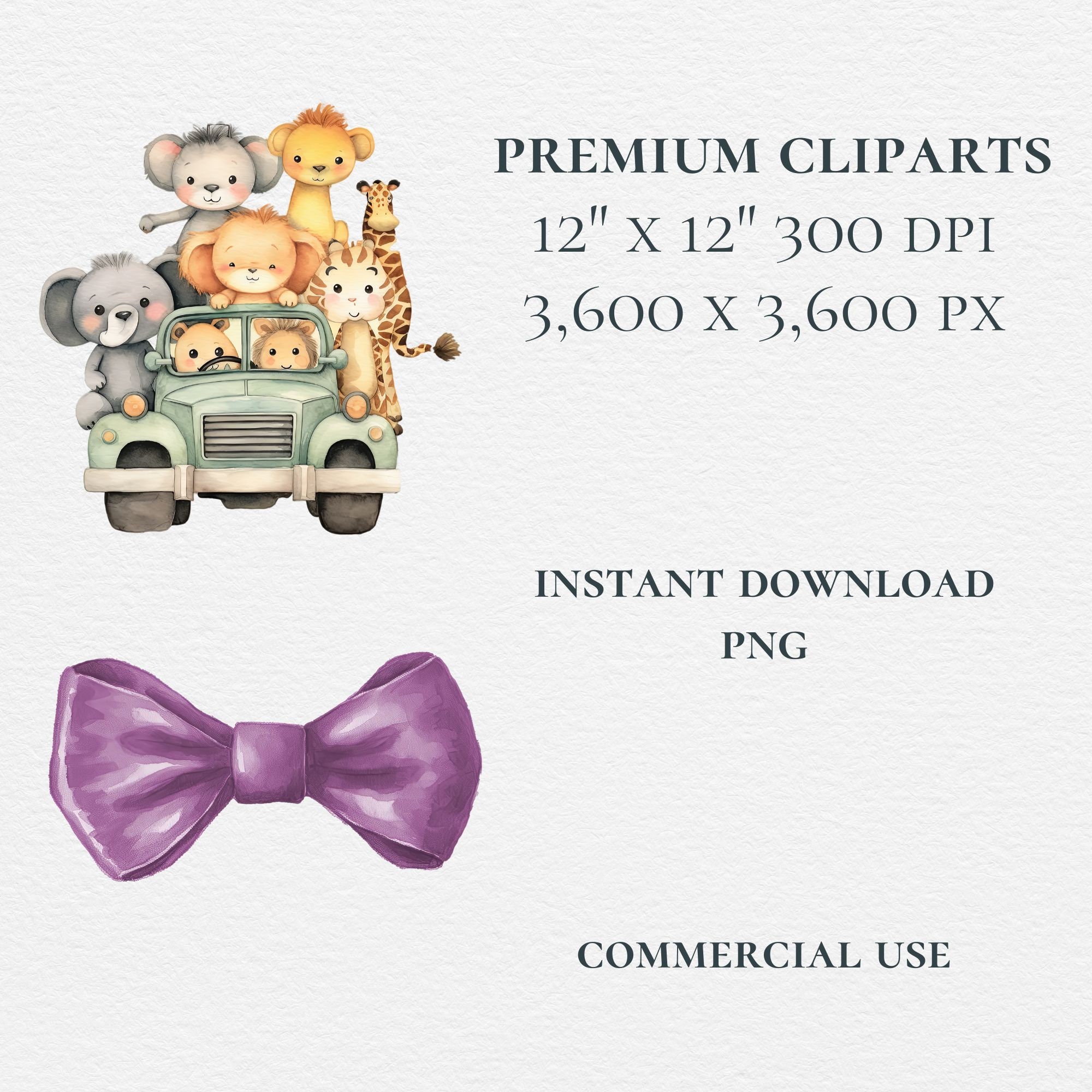 39 Cute Safari Clipart Set Transparent Background Digital - Etsy