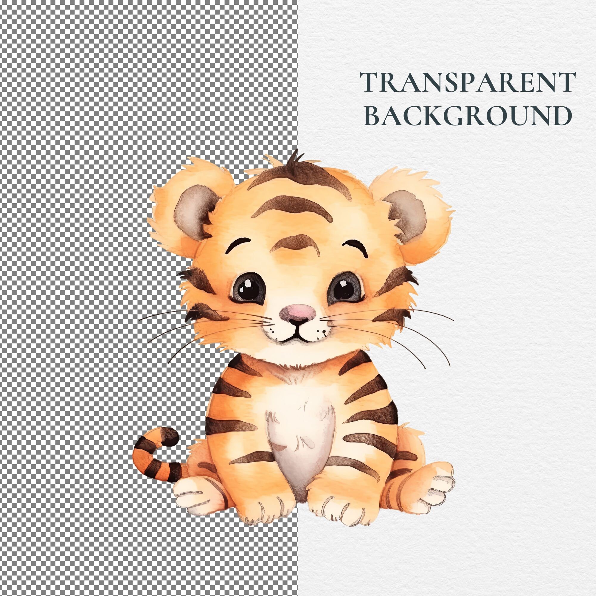 39 Cute Safari Clipart Set Transparent Background Digital - Etsy