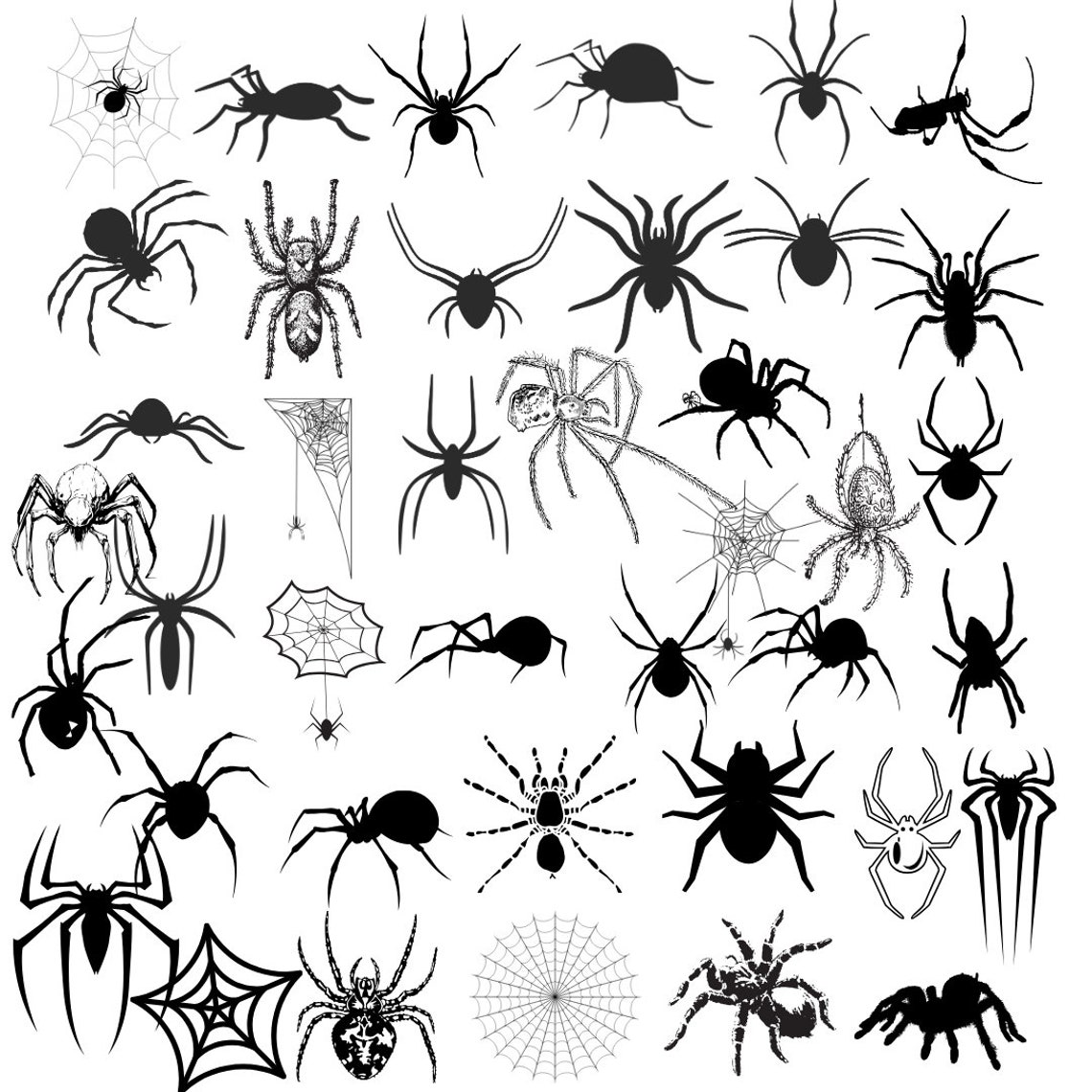 Spider Svg Silhouette Outline Svg Cut Out Png - Etsy