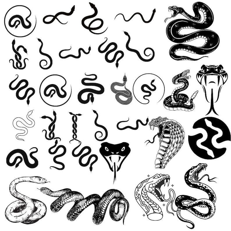 Snake Rattlesnake Animal Svg Png Ai Pack Cricut Decal - Etsy