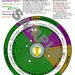Printable 2024 Liturgical Calendar, Downloadable Catholic Worksheet ...
