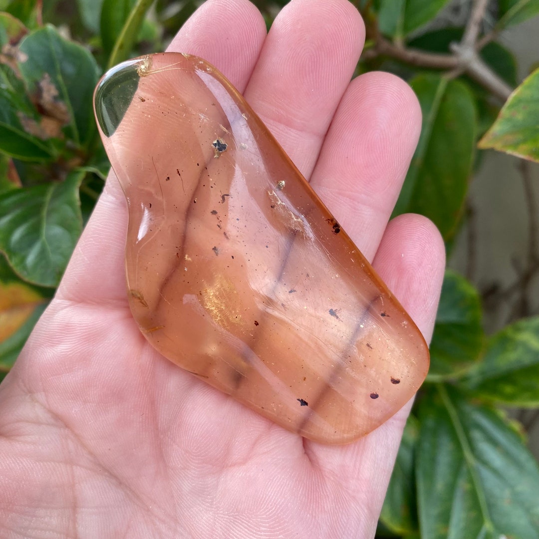 Large Copal Amber With Bugs Inside - Rare Genuine & Natural Fossil ...