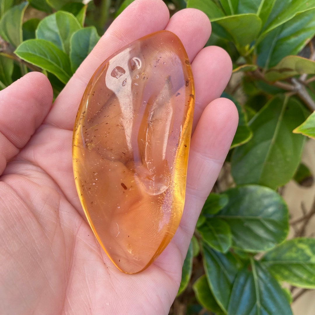 X-large Copal Amber With Bugs - Madagascar - Genuine & Natural Fossil ...