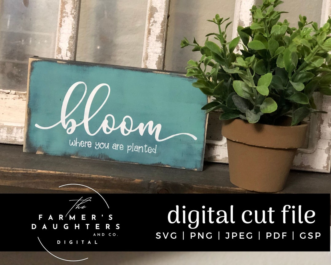 Bloom Where You Are Planted SVG, Bloom Svg, Positive Quotes ...