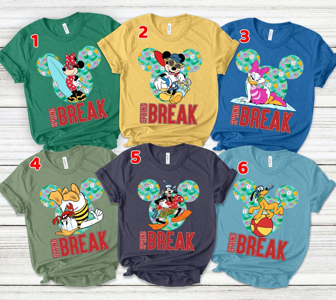 Vintage Disney Spring Break 2025 Shirt/retro Mickey Friends Spring ...