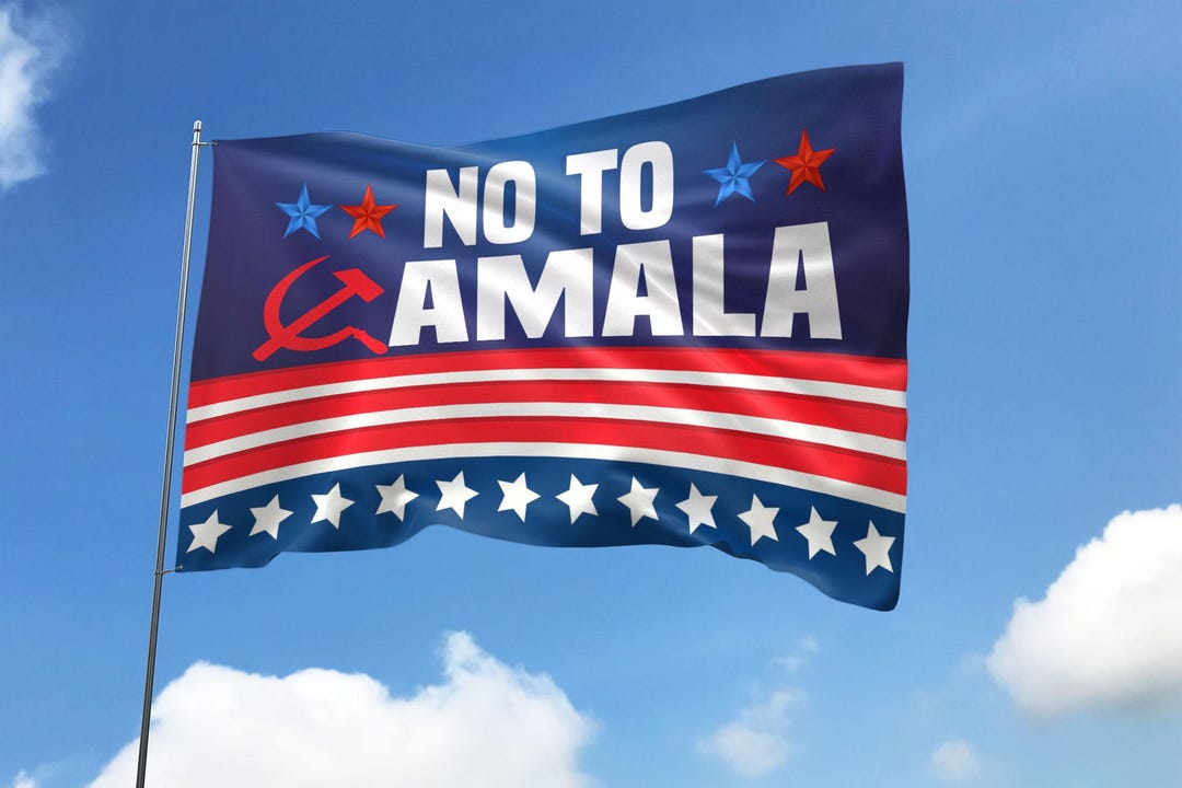 No to Communist Harris 2024 Flag/say No Kamala for President Flag/funny ...