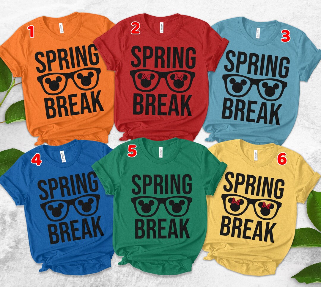 Disney Spring Break 2025 Shirt/disney Spring Break Shirt/wdw Disneyland ...