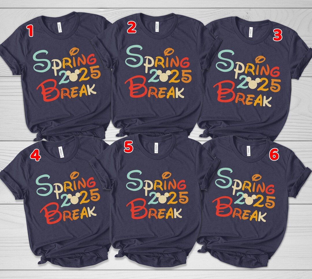 Disney Spring Break 2025 Shirt/disney Spring Break Shirt/wdw Disneyland ...