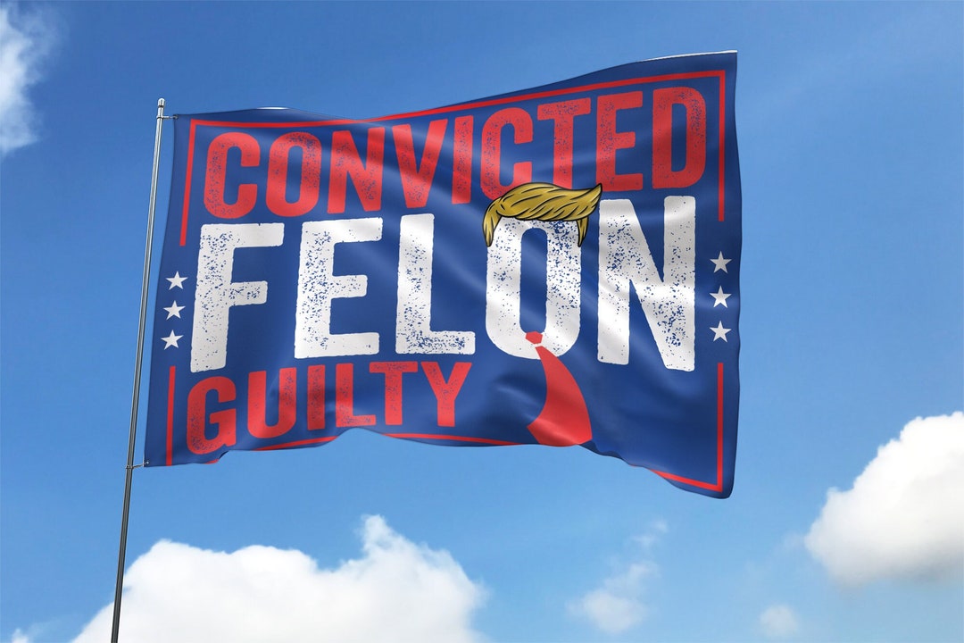 I'm Voting Convicted Felon 2024 Garden Flag/voting for the Convicted ...