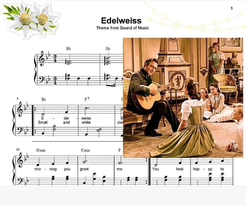 Edelweiss Guitar Chords Easy