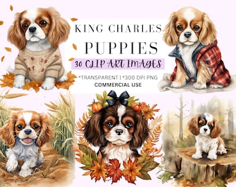 Cavalier King Charles Spaniel Puppies Watercolor Clipart, Commercial ...
