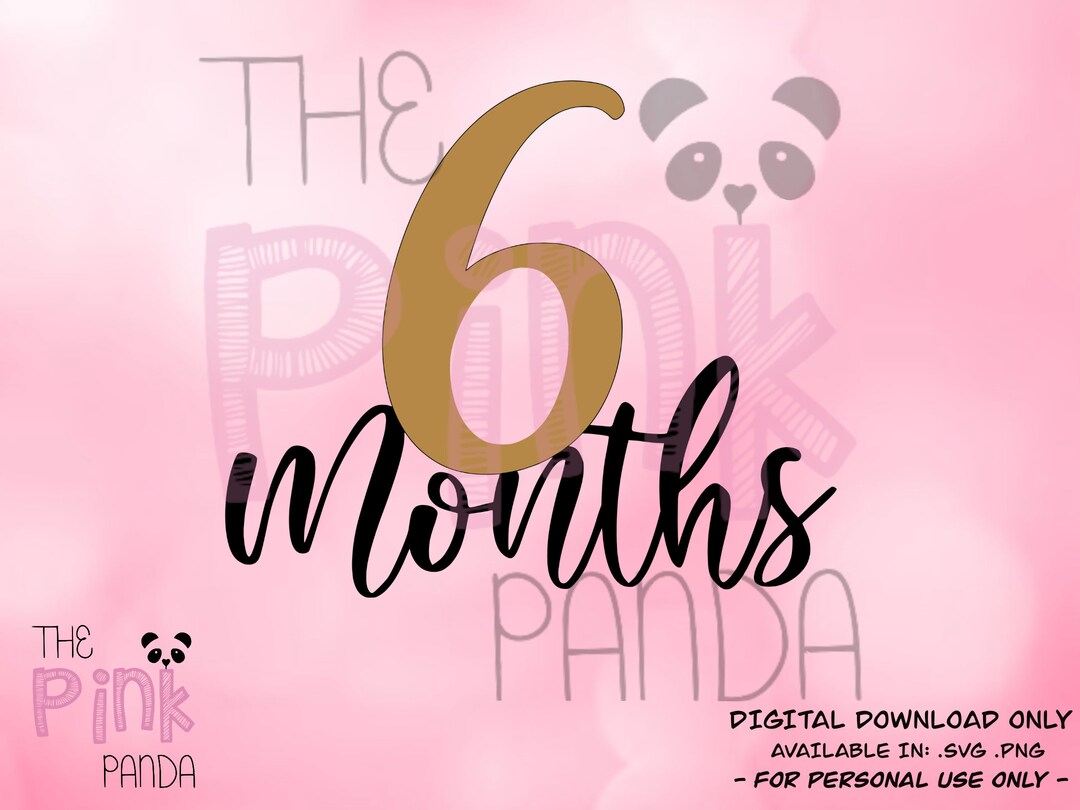 SVG File: 6 Month Birthday Cake Topper Template - Cricut, Silhouette ...