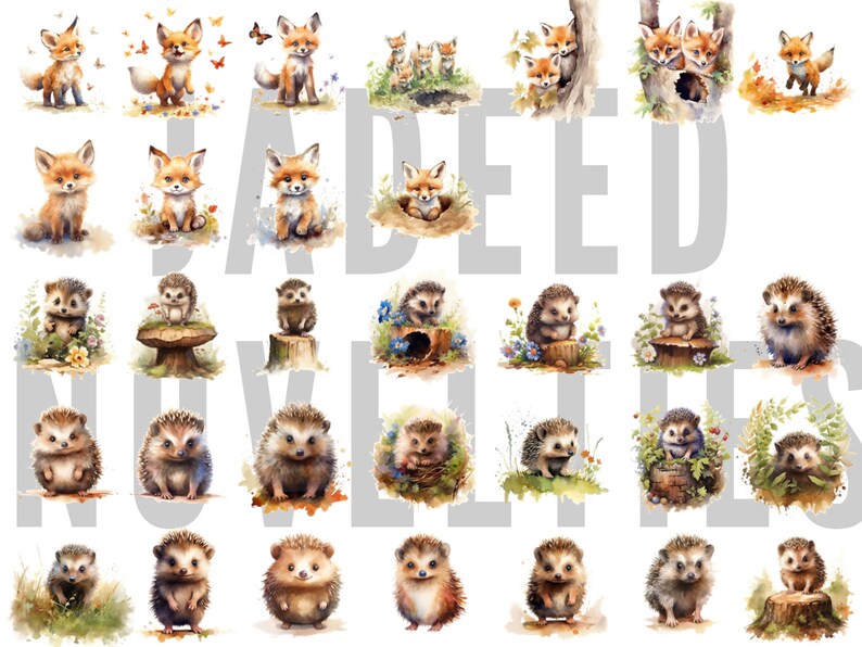 300 Woodland Animals Clipart Watercolor Transparent Pngs - Etsy