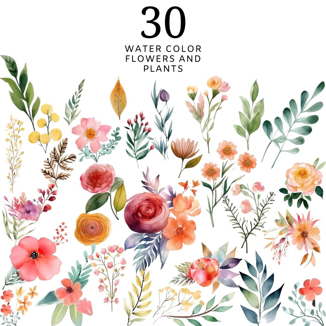 30 Boho Florals | Watercolor Clipart |wild Flowers | Wildflower Clipart ...