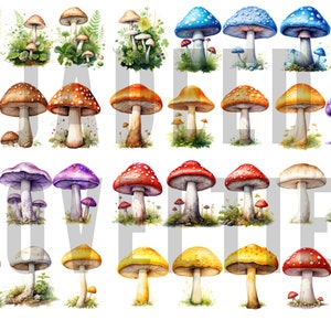150+ Watercolor Mushrooms | Cute Forest Nature Toadstool Clip Art PNG ...