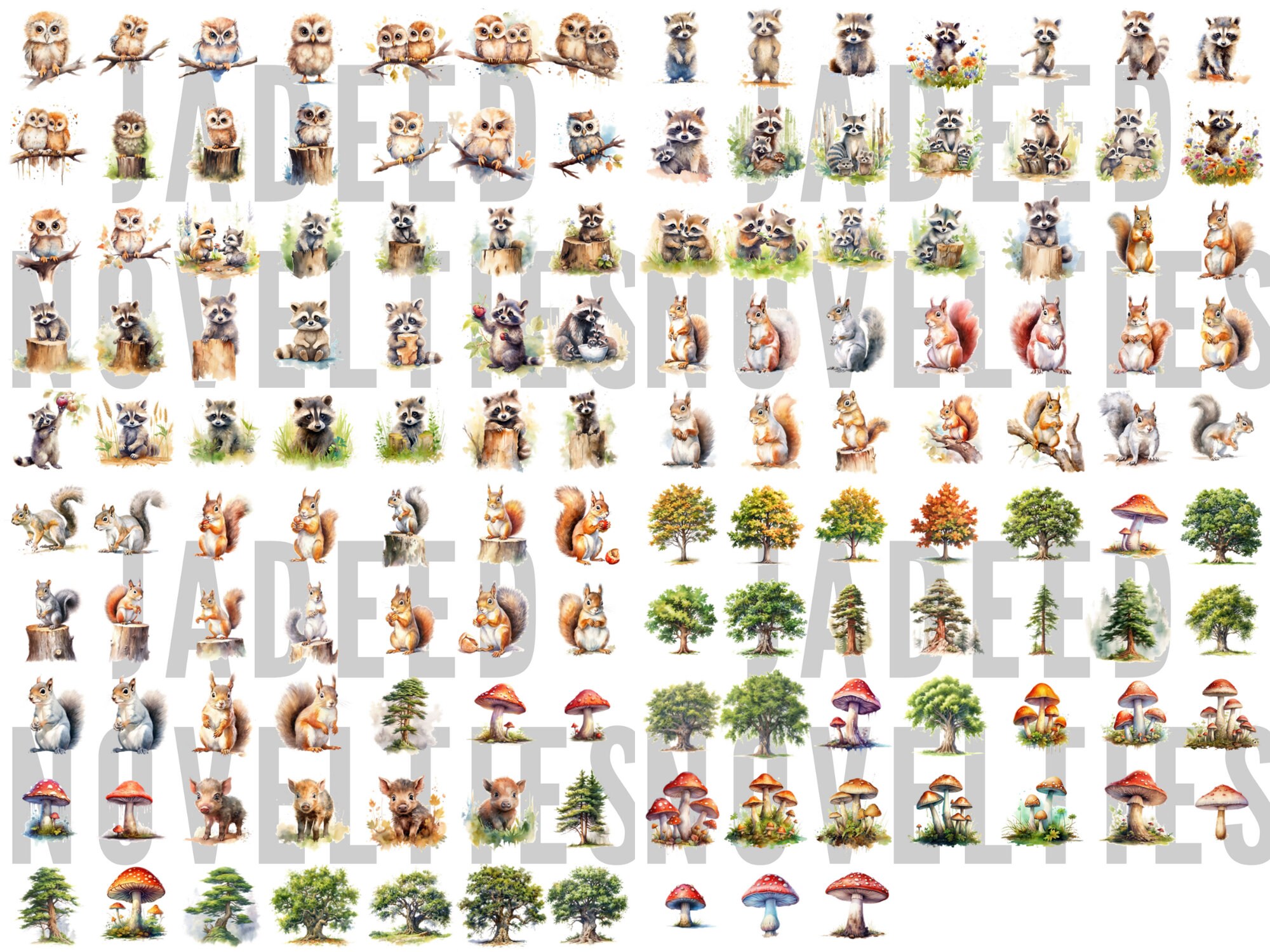 300 Woodland Animals Clipart Watercolor Transparent Pngs - Etsy