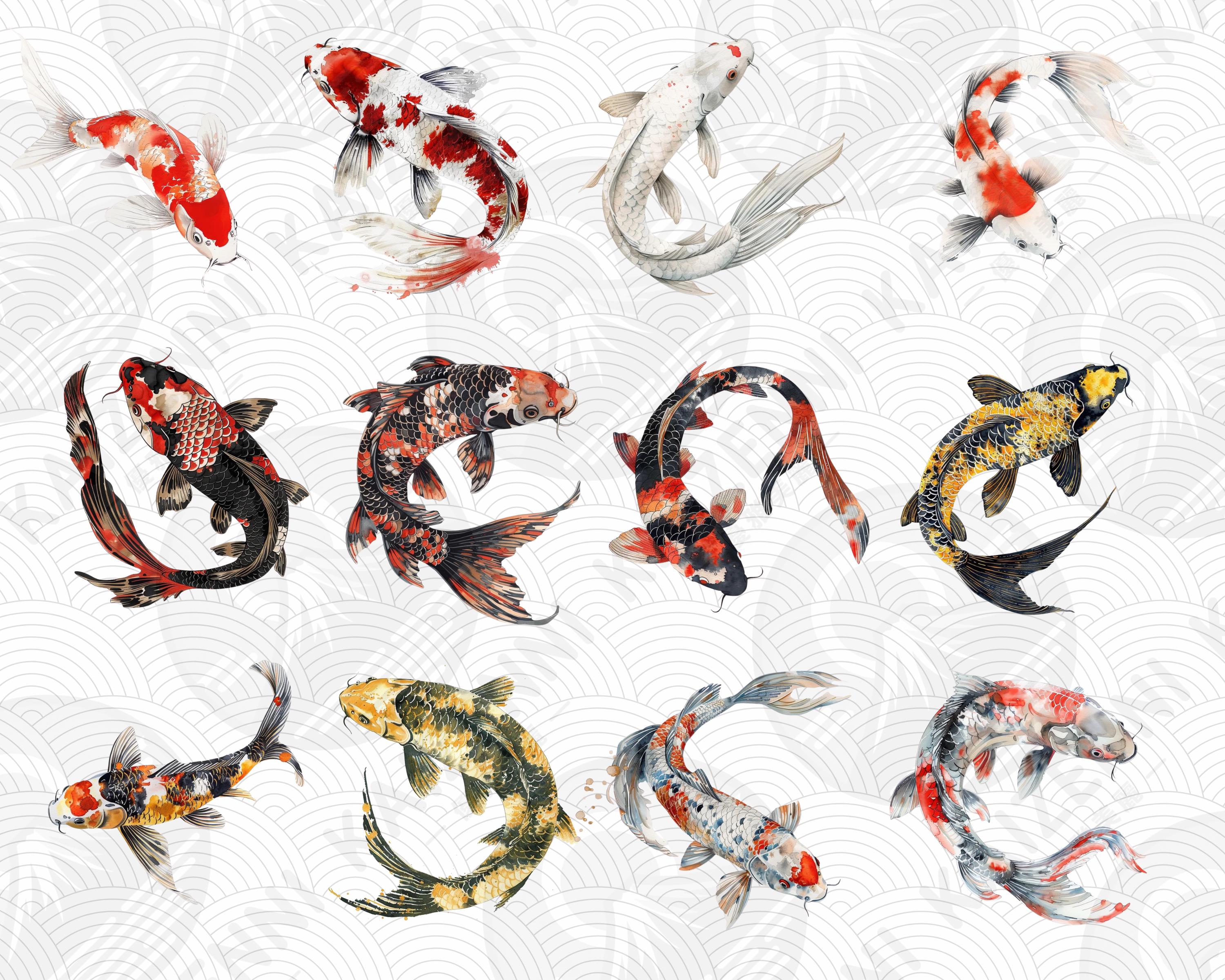 Japanese Koi Fish Clip Art Collection Koi Fish Vector PNG Ornamental ...