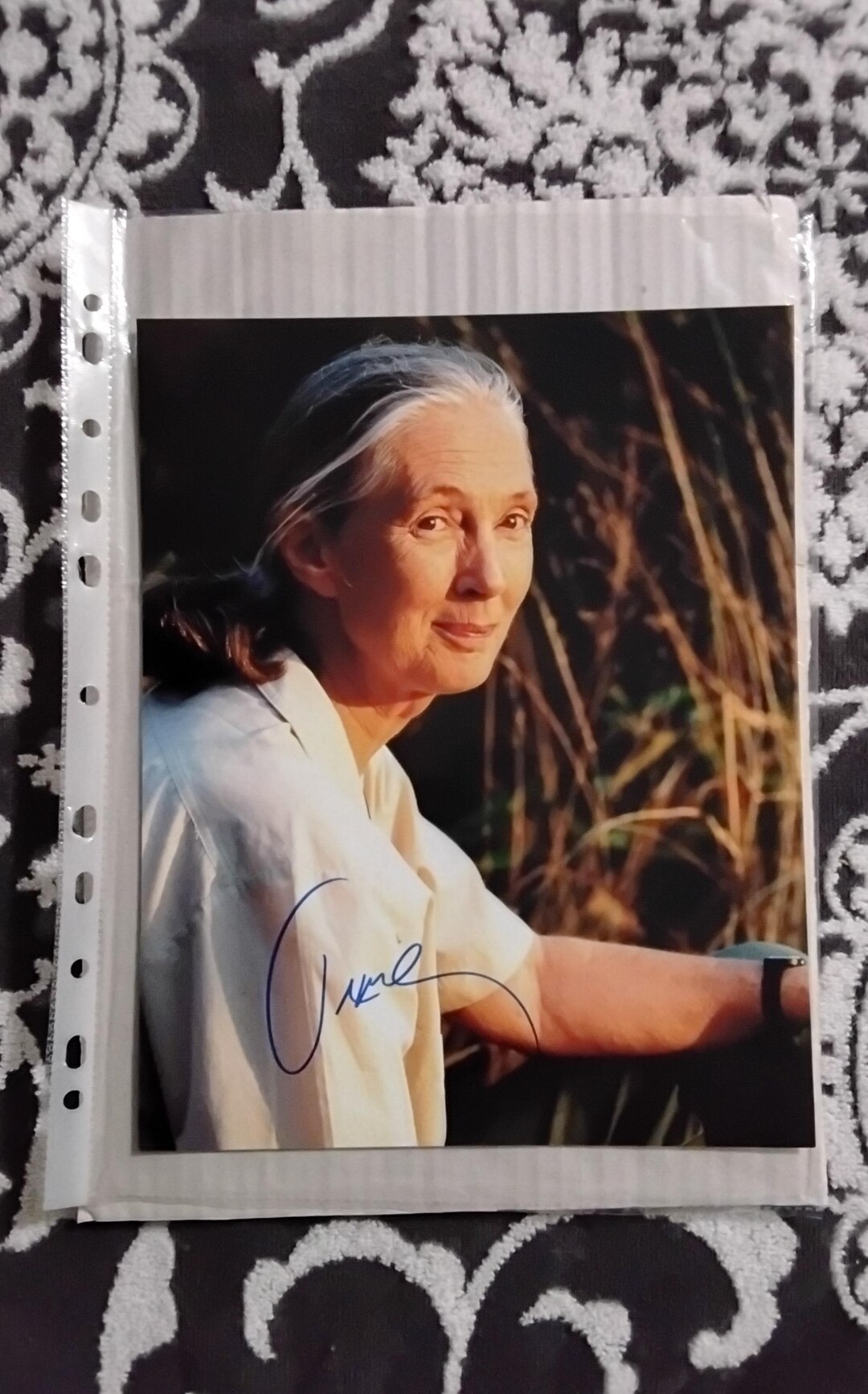 Jane Goodall Signed 8x10 Photo With COA - Etsy