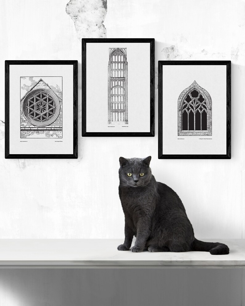 Gothic Architecture Print Set of 6 Architectural Drawing Gothic Art ...