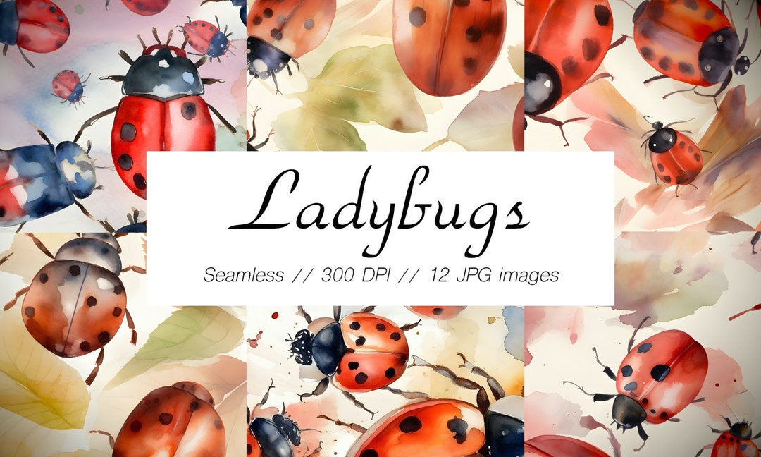 12 Ladybug Seamless Patterns - Instant Download Printable Bug Pattern ...