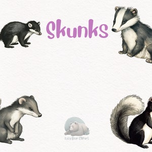 Skunk Watercolor Clipart, Cute Nursery Decor, Wall Art,baby Shower PNG ...