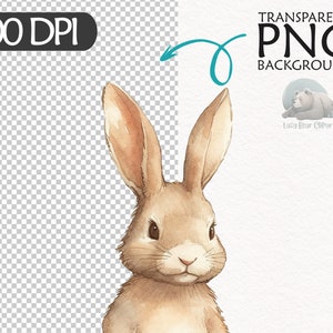 Bunny Rabbit Watercolor Clipart, Cute Nursery Decor, Wall Art,baby ...