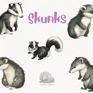 Skunk Watercolor Clipart, Cute Nursery Decor, Wall Art,baby Shower PNG ...