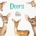 Deer Watercolor Clipart, Cute Nursery Decor, Wall Art,baby Shower PNG ...
