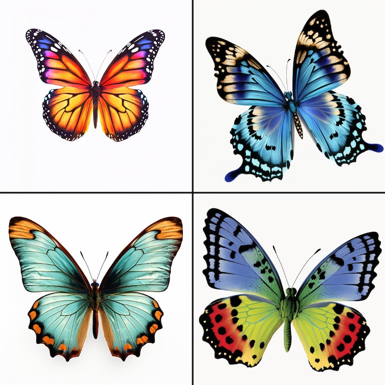 20 Butterfly Clipart Butterfly Png Files White Background Butterflies ...