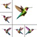 24 Hummingbirds Clipart Hummingbirds Png Files White Background ...