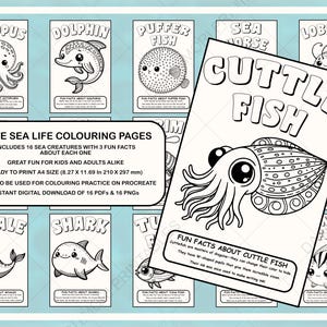 Sea Life Coloring Pages for Kids, Marine Creatures Facts (digital ...