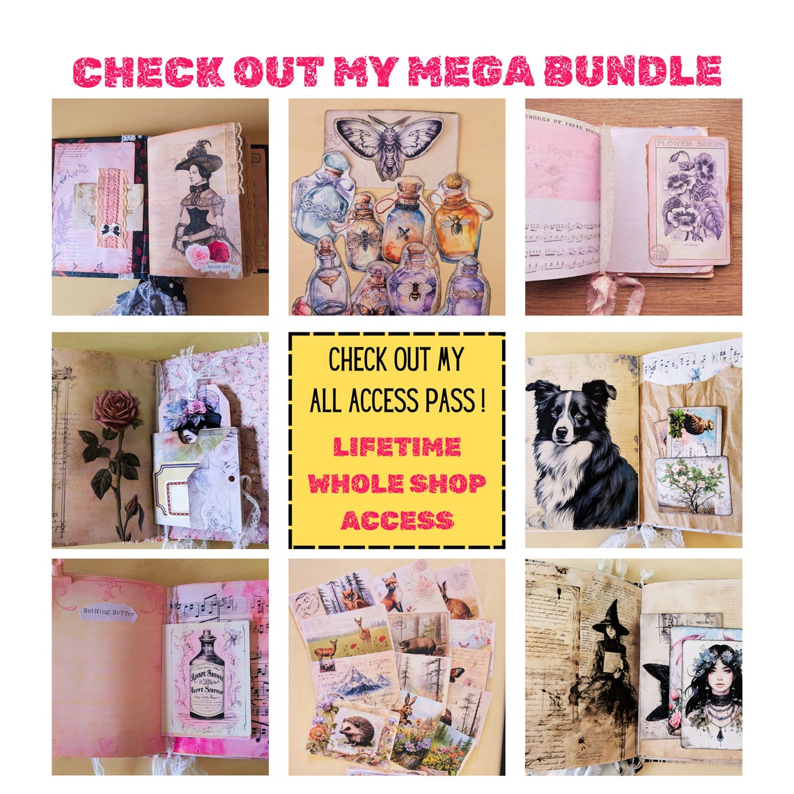 SPECIMEN Frame + ENTOMOLOGY Specimen, Bug Specimen, Mashroom Specimen ...